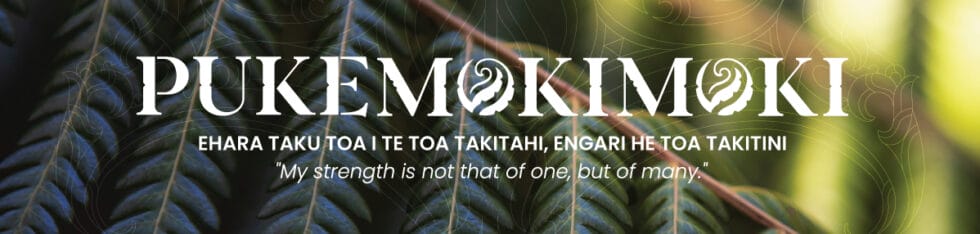 Pukemokimoki – Owen Street Development | MANA AHURIRI TRUST